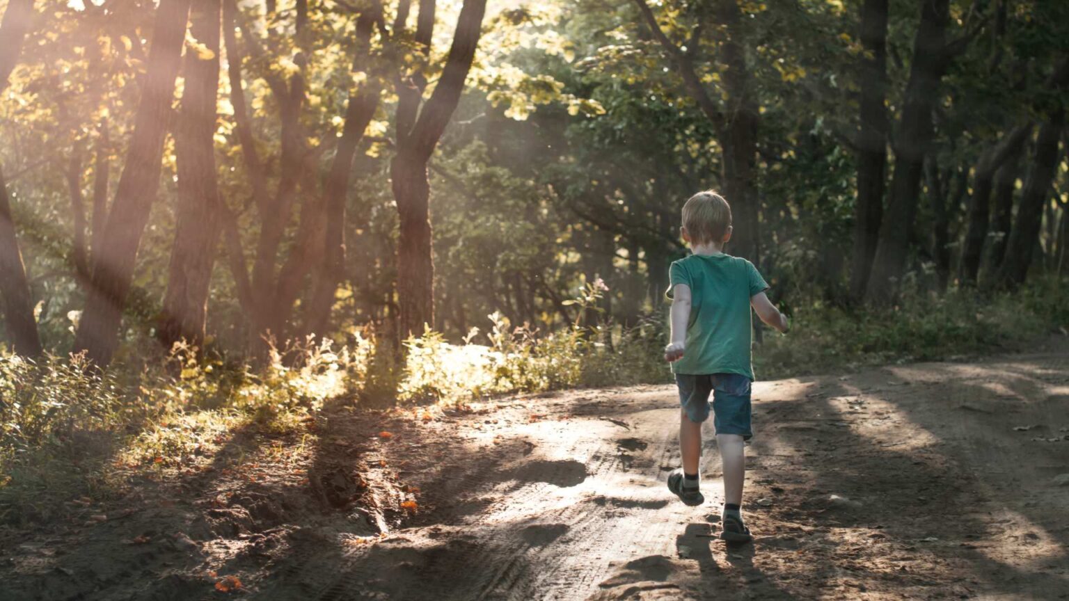 4 Common Causes Of Elopement In Autism | ABA Centers Of Virginia